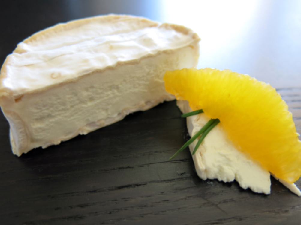 Exclusive Partners - InterSource - In the Name of Cheeses